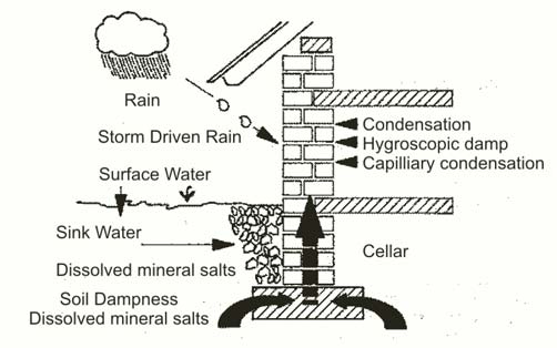 Damp Proofing Services Gauteng | Rising & Lateral Damp | Ludmar